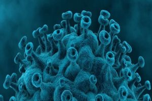 Covid-19: Ce que l’on sait des symptômes du variant Omicron – DAP